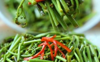 蕨菜怎么做好吃_蕨菜有毒吗