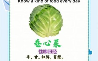 卷心菜的营养价值_卷心菜的功效与作用