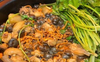 螺丝鸡煲怎么做_螺丝鸡煲的家常做法