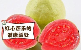 红心芭乐的籽能吃吗_红心芭乐籽的功效与作用