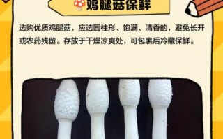 鸡腿菇不能和什么一起吃_鸡腿菇中毒症状