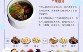 广东人煲汤常用食材有哪些_老火靓汤必备材料