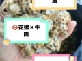 花螺肉哪个部位不能吃_花螺内脏怎么区分