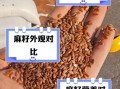 胡麻籽和亚麻籽的区别_哪个更好