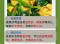 菠菜和鸡蛋可以一起吃吗_菠菜鸡蛋同食的好处