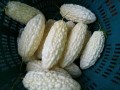 白苦瓜怎么挑选_白苦瓜的功效与作用