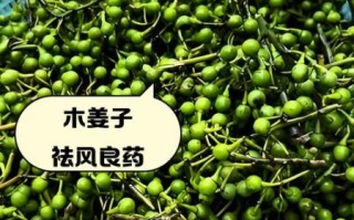 木姜子哪些人不能吃_木姜子禁忌人群