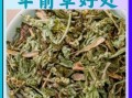 车前草图片功效与作用_车前草泡水喝有什么禁忌