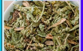 车前草图片功效与作用_车前草泡水喝有什么禁忌