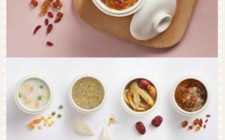 隔水电炖锅食谱大全_隔水电炖锅怎么炖汤