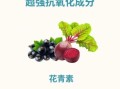 蓝莓花青素的功效与作用_蓝莓花青素怎么吃效果最好
