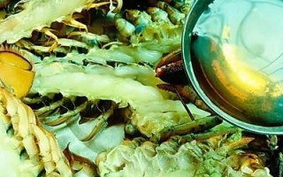 波士顿龙虾墨绿色部分是什么_能不能吃