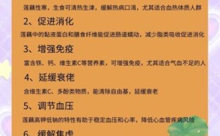 藕的作用与功效禁忌_藕怎么吃最好