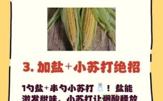 玉米煮多久能熟透_甜玉米要煮几分钟才软糯