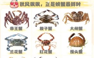 螃蟹一天吃多少合适_螃蟹一次吃几只不过量