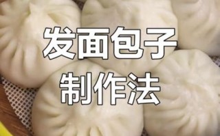 怎么发面做包子最好_包子面怎么发才松软