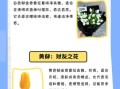 郁金香花语是什么_不同颜色寓意有何区别