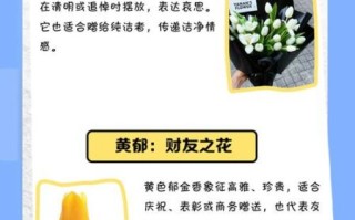郁金香花语是什么_不同颜色寓意有何区别