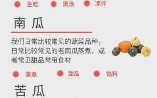 常见瓜类蔬菜有哪些_瓜类蔬菜大全名字