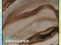 冰冻生蚝怎么处理_解冻后怎么清洗