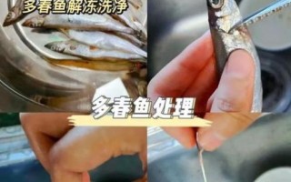 多春鱼怎么去内脏_多春鱼清理内脏最简单方法