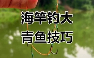 大青鱼怎么钓_大青鱼钓法技巧