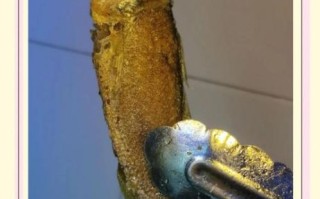 怎样煎鱼不破皮_煎鱼不破皮的小窍门