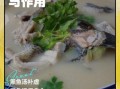 孕妇黑鱼怎么做好吃_孕妇黑鱼汤的做法