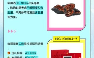 新鲜海参价格多少一斤_海参多少钱一斤2024