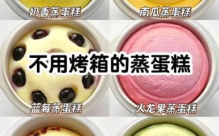 烤箱新手入门_简单美食大全教程