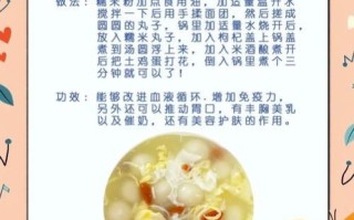 酒酿丸子怎么做好吃_酒酿丸子做法窍门