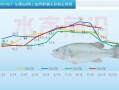 鲈鱼多少钱一斤_鲈鱼价格走势2024