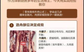 炖牛肉怎么炖法_炖牛肉软烂不柴的秘诀