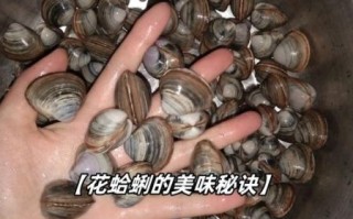 花蛤吐沙最快的方法加酒_花蛤用酒吐沙要多久
