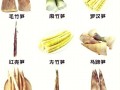 笋图片大全_春笋和冬笋的区别