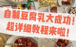 在家怎么做豆腐乳_自制豆腐乳的方法