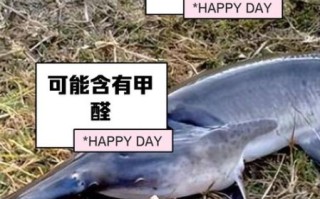 鸭嘴鱼不能和什么一起吃_鸭嘴鱼禁忌人群有哪些