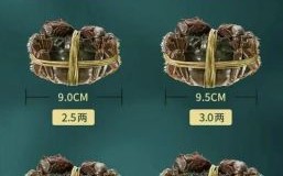 大闸蟹一次最多吃几只_吃大闸蟹一次吃几个合适