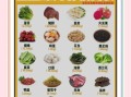 补铁食物排行榜8强_缺铁吃什么最快