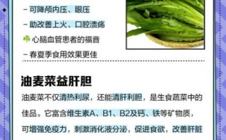 油麦菜的功效与作用及禁忌_油麦菜什么人不能吃