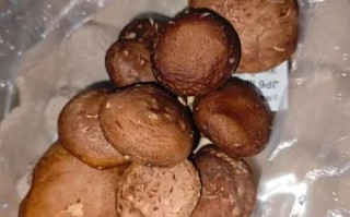 新鲜香菇需要焯水吗_焯水后营养会流失吗