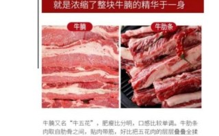 牛腩是牛身上哪个部位_牛腩和牛肋条的区别