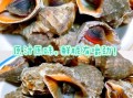 海螺怎么吃_海螺的做法大全