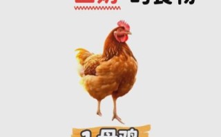 回奶的食物和水果有哪些_哪些水果回奶最快