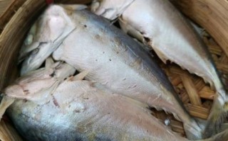 腌鱼的正确方法_如何腌鱼不腥又入味