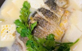 奶白鲫鱼豆腐汤的做法_鲫鱼汤怎么炖不腥