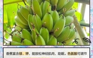香蕉的功效与作用好处_吃香蕉能减肥吗