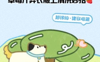 草莓汁怎么洗掉_草莓汁弄到衣服上怎么办