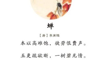 蝉的一生告诉我们什么_如何活出短暂而璀璨的人生