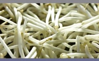 豆芽嘌呤高吗_痛风能吃豆芽吗